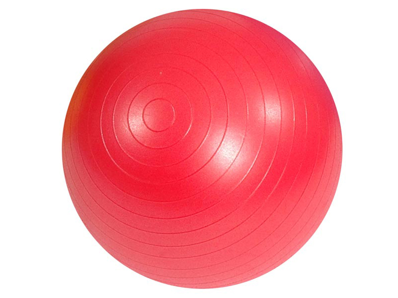 Mambo Max ballon d'excercices | Commandez simple en ligne | Arseus Medical